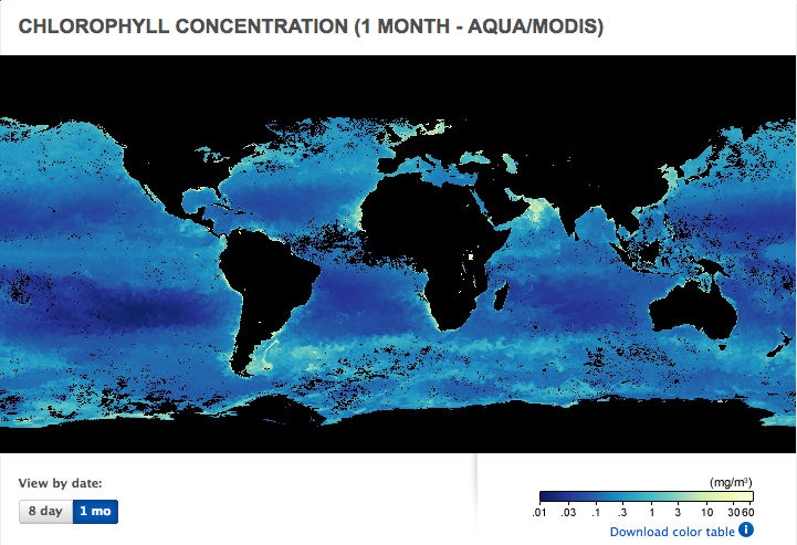 Chlorophyll + Sea Surface Temperatures